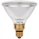 HOME | The Light Bulb Company